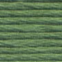 Madeira 6 Strand Cotton 1311 Forest Green 10m Spiral Pack| Barnyarns