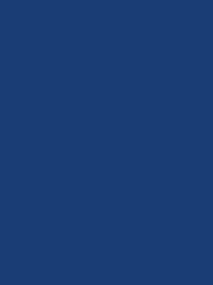 Madeira Classic 40 1167 Royal Blue 5000m Cone| Barnyarns