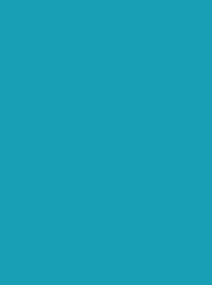 Madeira Polyneon 40 1694 Turquoise 1000m Cone| Barnyarns
