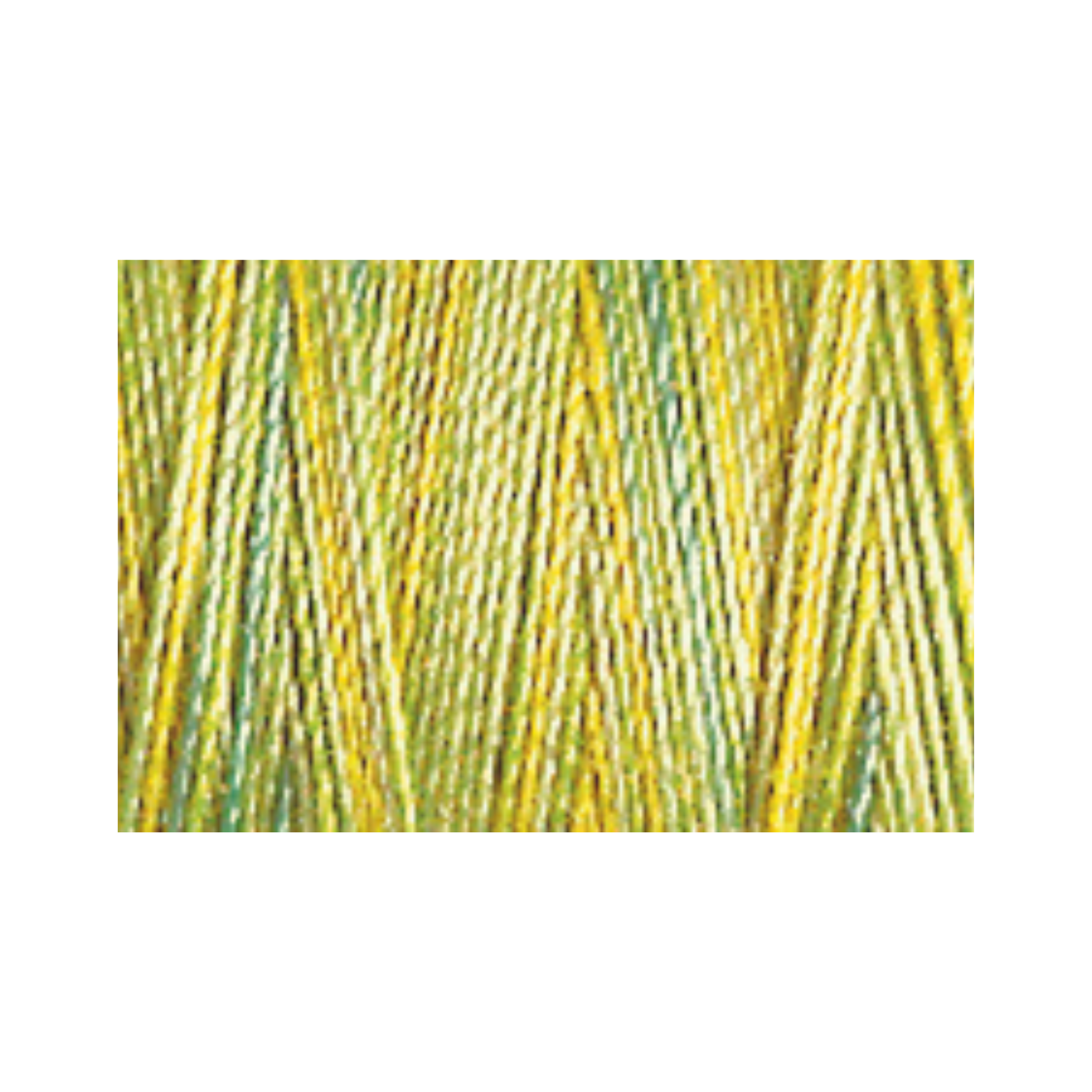 Cotton.30 Col.4017 (R4,17)